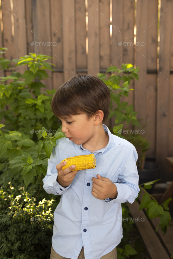 Cute little boy eats corn on the cob in the garden. Stock Photo by dasha11
