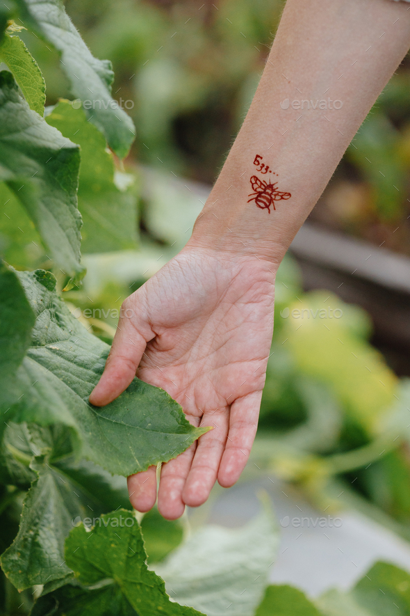 woman's hand with drawing of mehendi bee made of henna, wrist among ...