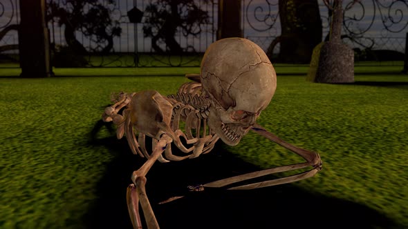 Attacking Skeleton at Night in the Cemetery, Motion Graphics | VideoHive