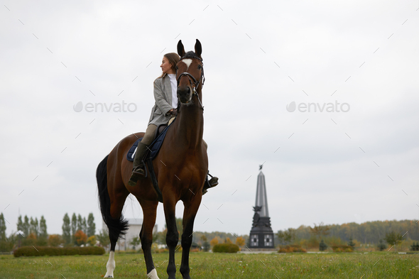Beautiful young woman riding a horse on the field. Sideways to the ...