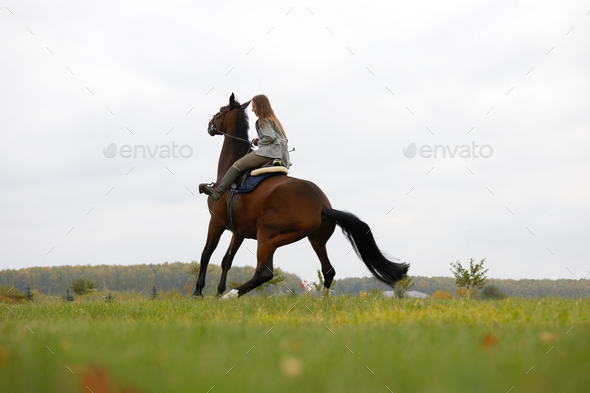 Beautiful young woman riding a horse on the field. Sideways to the ...