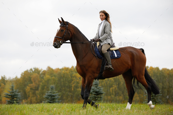 Beautiful young woman riding a horse on the field. Sideways to the ...