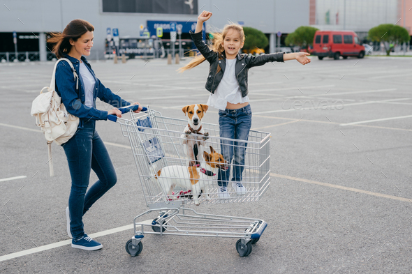 Glad female carries trolley in which little girl stands with dogs Stock ...