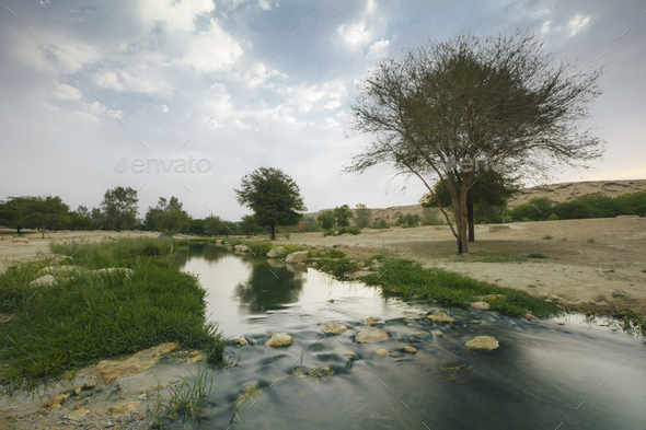 Wadi Hanifah lake, Riyadh, Saudi Arabia Stock Photo by iiMOHAMMEDii