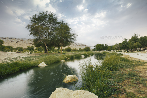 Wadi Hanifah lake, Riyadh, Saudi Arabia Stock Photo by iiMOHAMMEDii