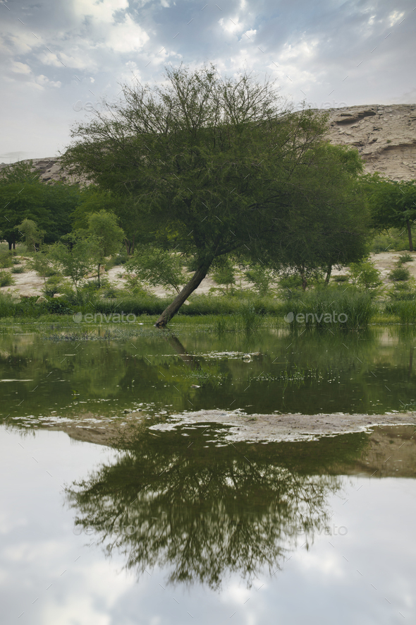 Wadi Hanifah lake, Riyadh, Saudi Arabia Stock Photo by iiMOHAMMEDii