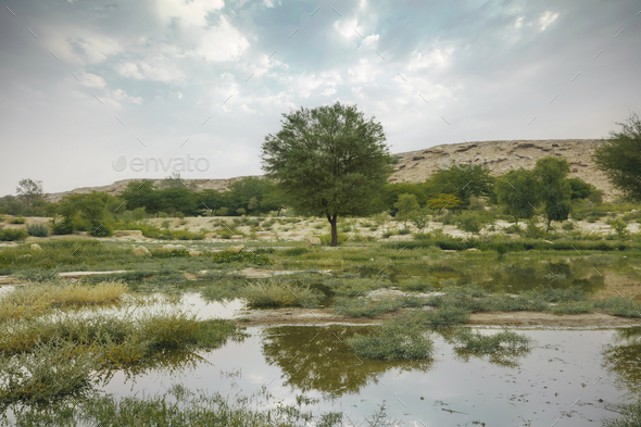 Wadi Hanifah lake, Riyadh, Saudi Arabia Stock Photo by iiMOHAMMEDii