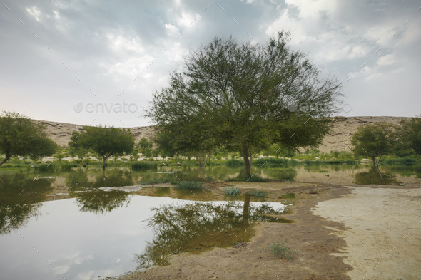 Wadi Hanifah lake, Riyadh, Saudi Arabia Stock Photo by iiMOHAMMEDii