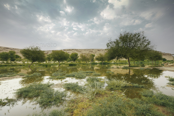 Wadi Hanifah lake, Riyadh, Saudi Arabia Stock Photo by iiMOHAMMEDii