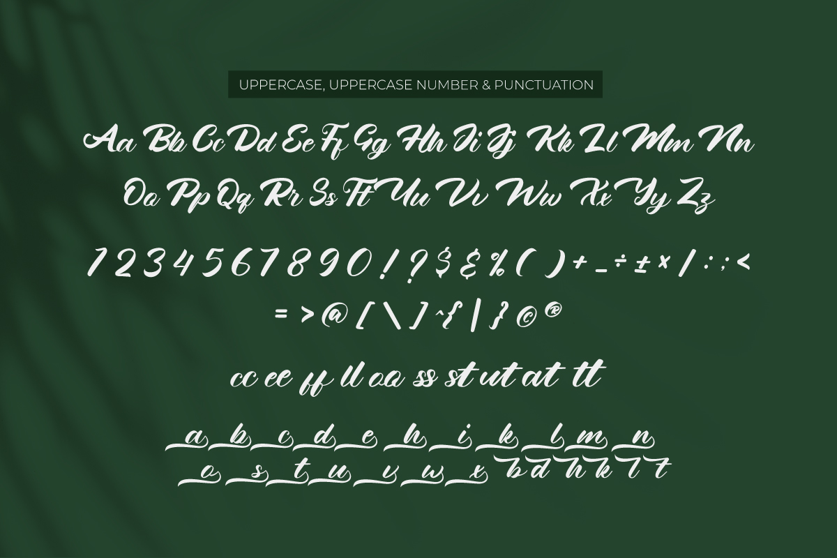 Minah - Handwriting Script Font, Fonts | GraphicRiver