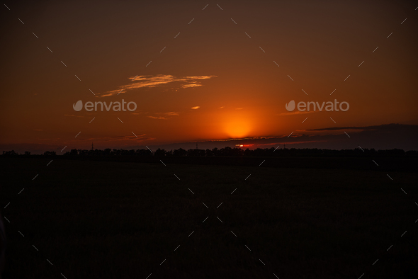 Orange sunset, field skyline silhouette. The last ray of the sun ...
