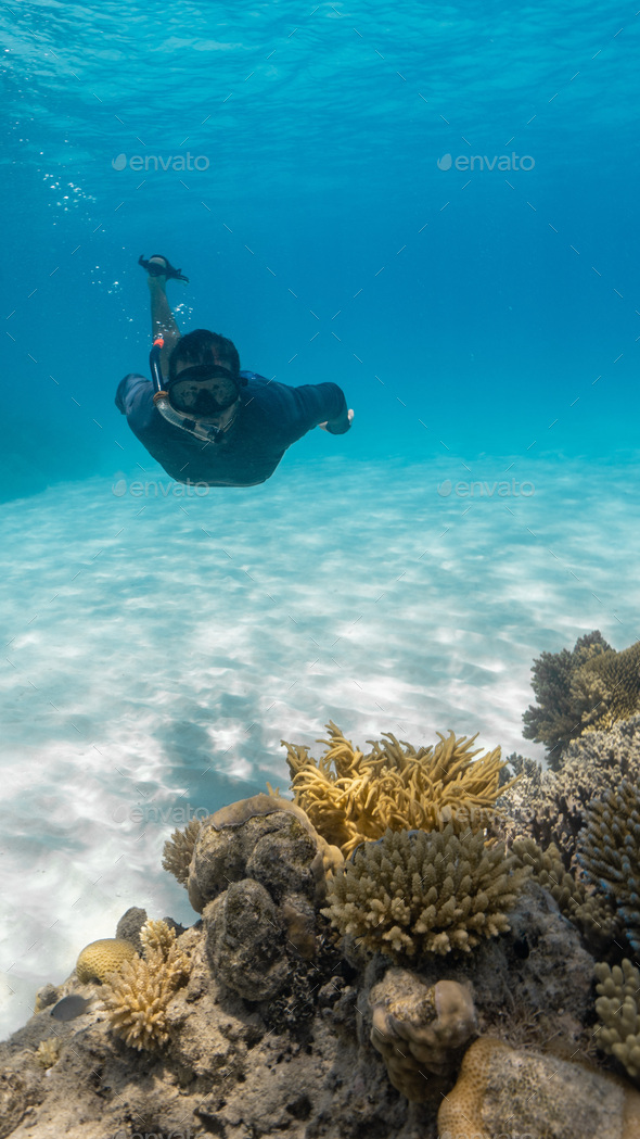 young man freediving in the great barrier reef Stock Photo by ...