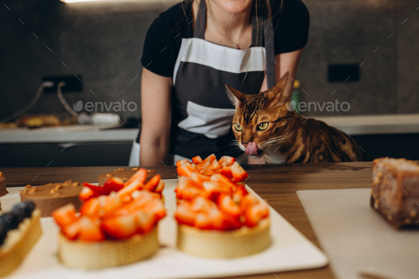 The cat in the apron is eating dough in the kitchen. Close-up Stock ...