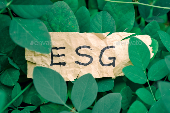 Words ESG in fresh green leaves. ESG concept of environmental, social ...