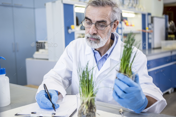 Scientist in lab examiming plant and taking notes Stock Photo by westend61