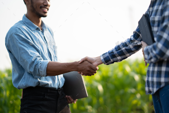 Handshake two farmer with crops field background. The concept of the ...