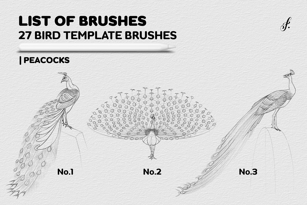 Bird Procreate Brush | 27 Bird Brushes for Procreate, Add-ons ...