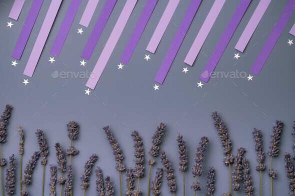 shooting star and dry lavender flower on purple violet background Stock ...