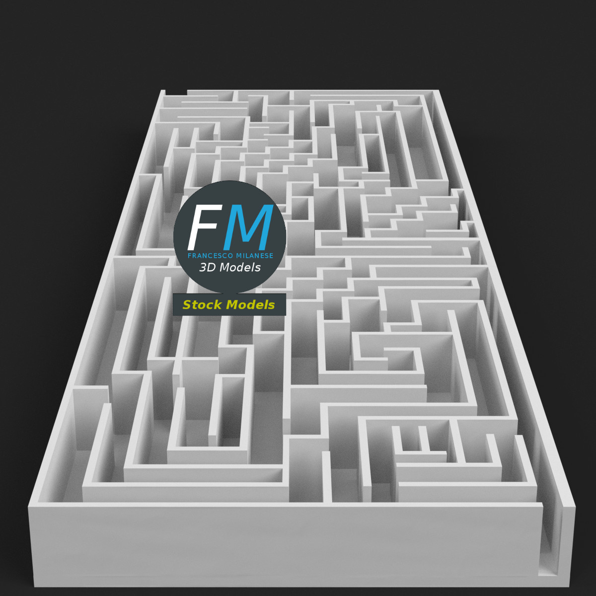 Rectangular labyrinth 1 by FrancescoMilanese85 | 3DOcean