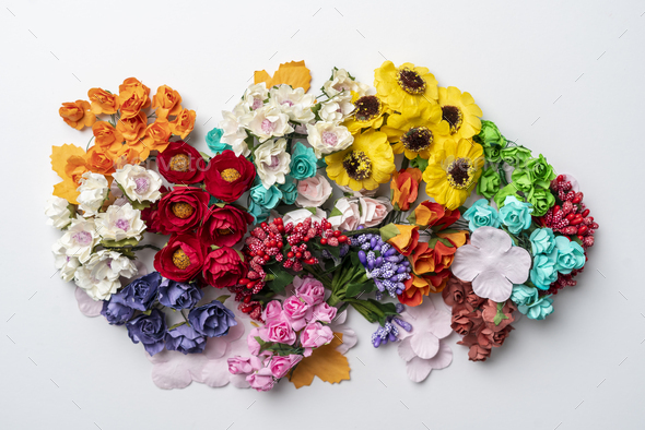 a creative flowers layout on the colorful background, natural design ...