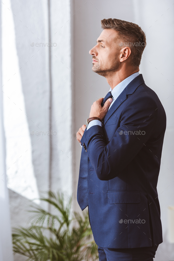 side view of handsome man in formal wear wearing necktie and looking ...