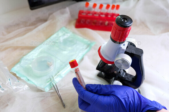 Person testing a sample under a microscope Stock Photo by frimufilms