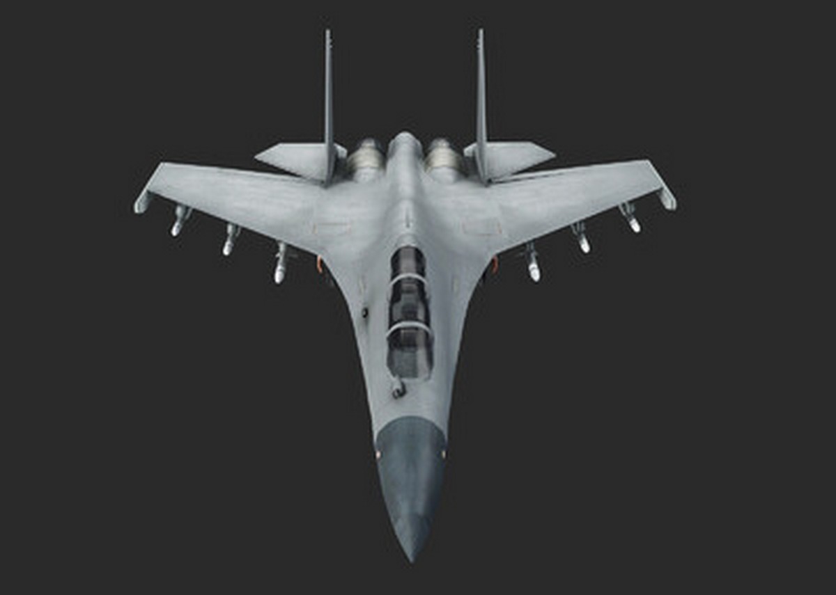 Chinese Air Force J16 low visual paint by EVANSYY | 3DOcean