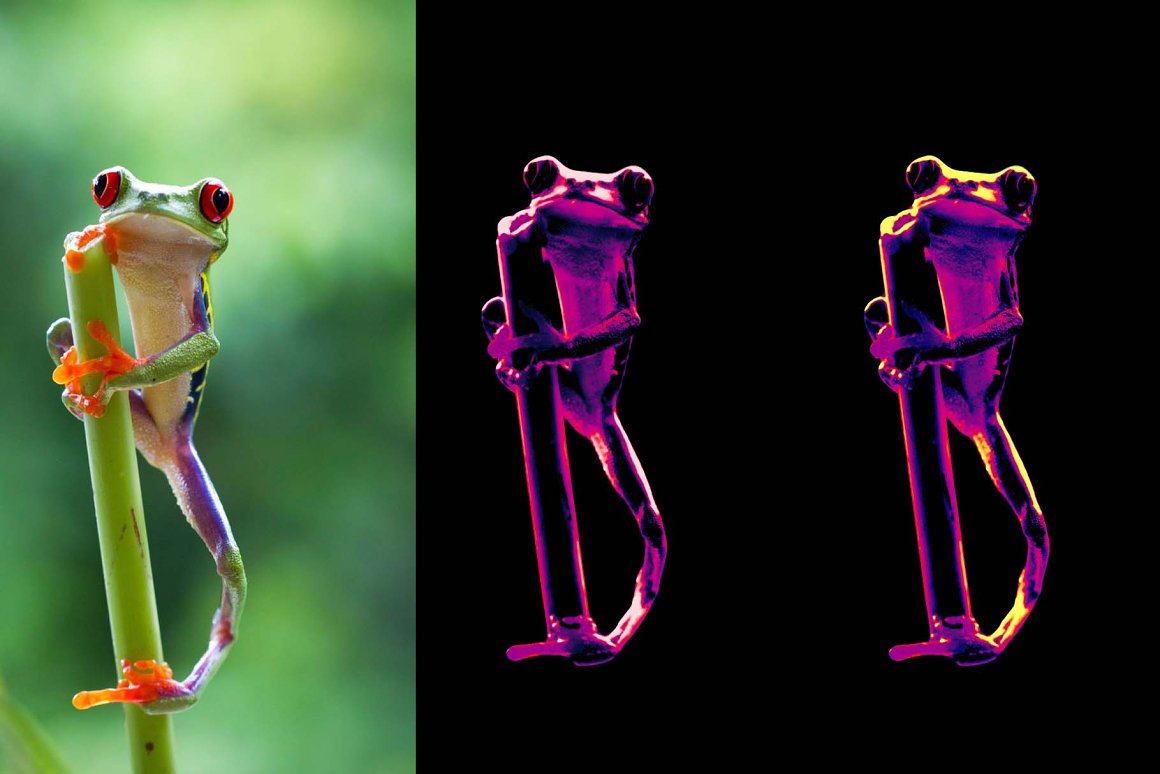 Neon Photo Effect Photoshop Action, Add-ons | GraphicRiver