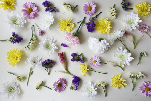 Bright creative spring flowers on a light background, Flat lay, mockup ...