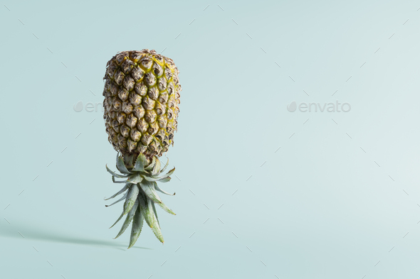 Inverted pineapple stands on a green background with a copy of the ...