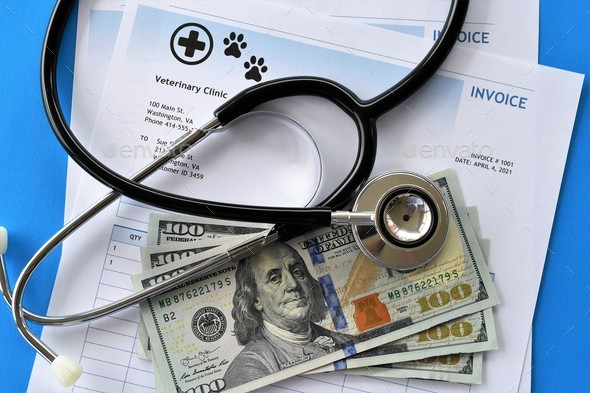 Vet veterinarian bill invoice with stethoscope. Medical cost of pets ...