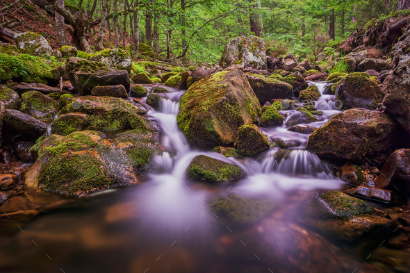 Relax landscape of a river in Soria, Spain. Natural environment in a ...