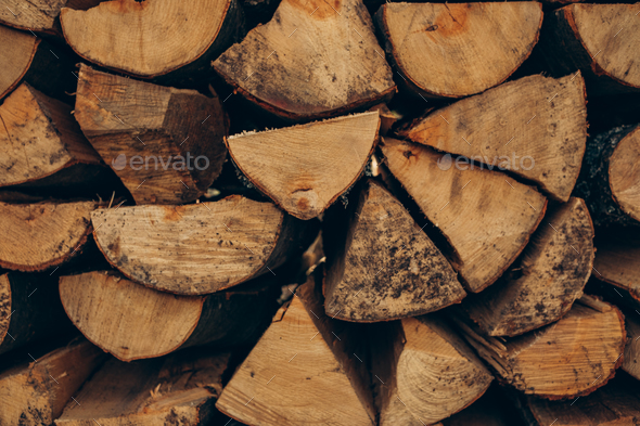 background of tree trunks, close-up of a fence made of tree logs. a lot ...