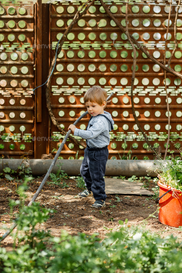 Inquisitive toddler is exploring objects in the backyard. Stock Photo ...