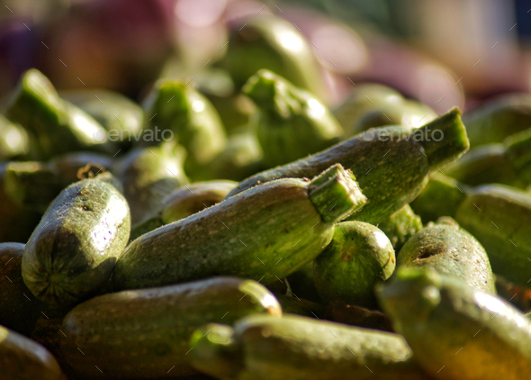 Fresh organic zucchini like healthy vegetables called marrow squash for ...