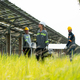 Engineering and technicians unloading repaired solar panels Stock Photo ...
