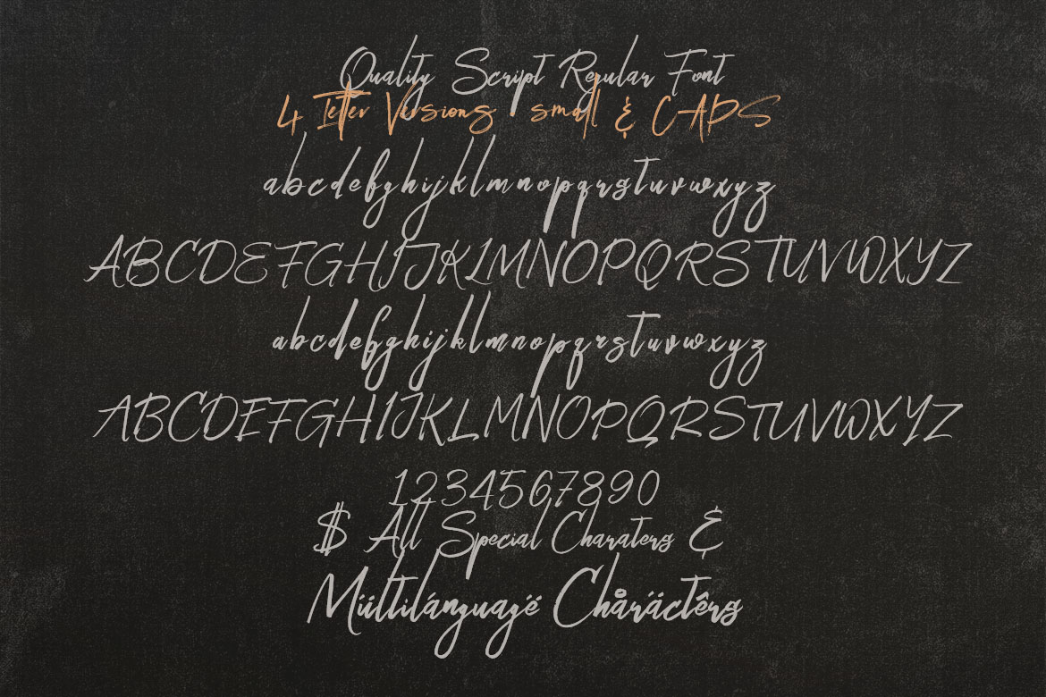 Quality SVG Bold Brush Script, Fonts | GraphicRiver