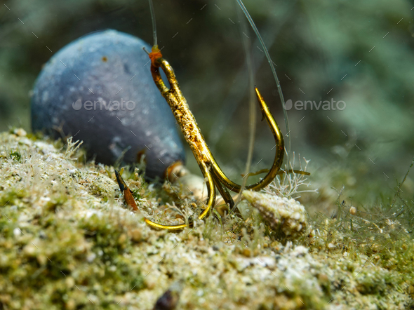 Lost fishing gear underwater Stock Photo by SakisLazarides | PhotoDune