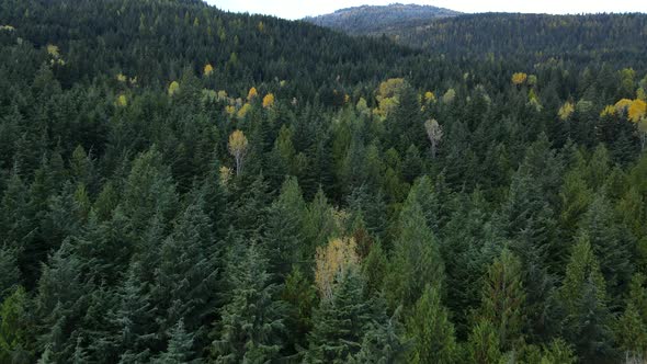 Short 4k aerial video of British columbian forests near Nelson, Canada ...