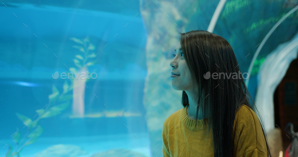 Woman in the aquarium, and look at the fish inside Stock Photo by ...