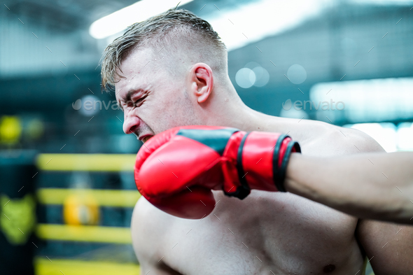Boxing trainer with a man boxing at the gym Boxers training kickboxing ...