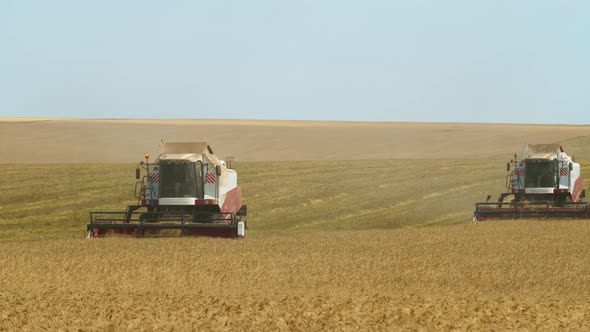 Two Combine Harvesters Go After Each Other to Harvest Cereals, Stock ...