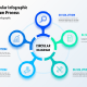 3-8 Circular Infographic Diagram Process, Infographics | GraphicRiver