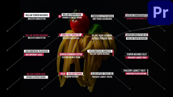 16 Call Out Titles MOGRTs For Premiere Pro, Premiere Pro Templates