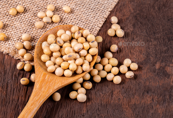 Soybean background. Soybean organic background Stock Photo by freedomnaruk