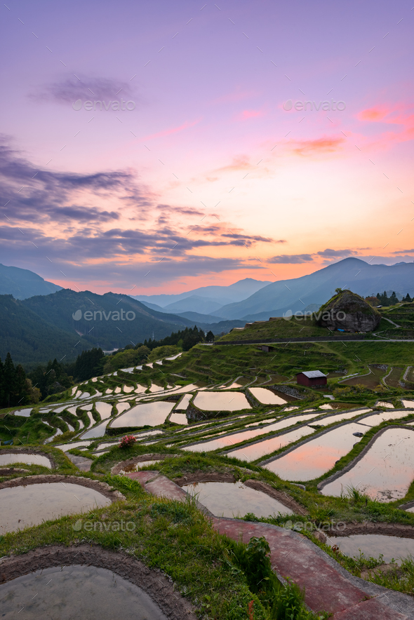 Japanese Rice Terraces in Kumano, Japan at Dusk Stock Photo by SeanPavone