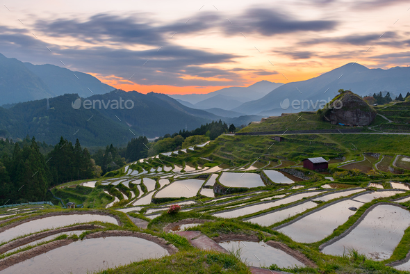 Japanese Rice Terraces in Kumano, Japan at Dusk Stock Photo by SeanPavone