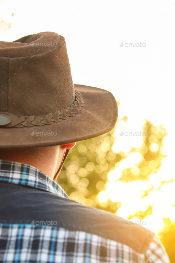Back view of a young man wearing a cowboy hat. Young cowboy looking on ...