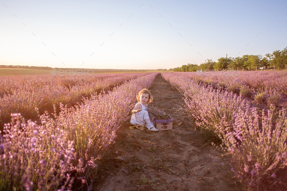 Close-up portrait of little girl sitting in field among rows ...