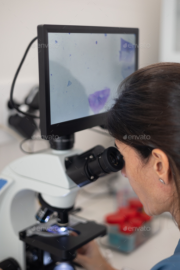 closeup of female veterinarian looking through microscope with digital ...